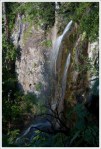 Lewis Spring Falls – Virginia Trail Guide