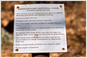 Big Run Loop – Virginia Trail Guide