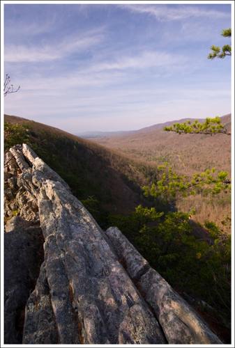 Buzzard Rock – Virginia Trail Guide