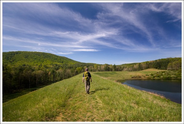 Trimble Mountain – Virginia Trail Guide