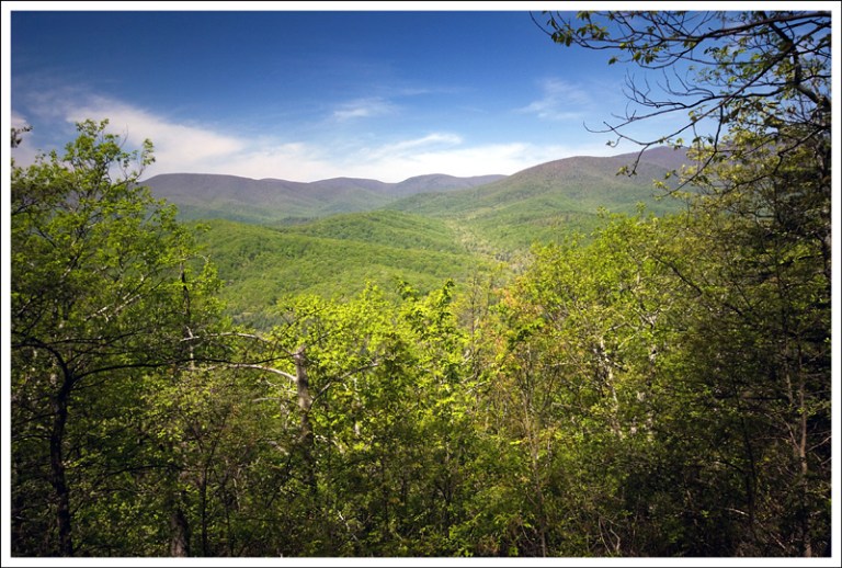 Trimble Mountain – Virginia Trail Guide
