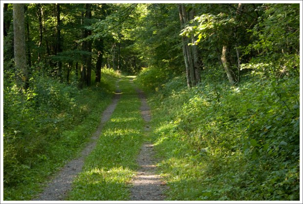 Pocosin Mission Trail – Virginia Trail Guide