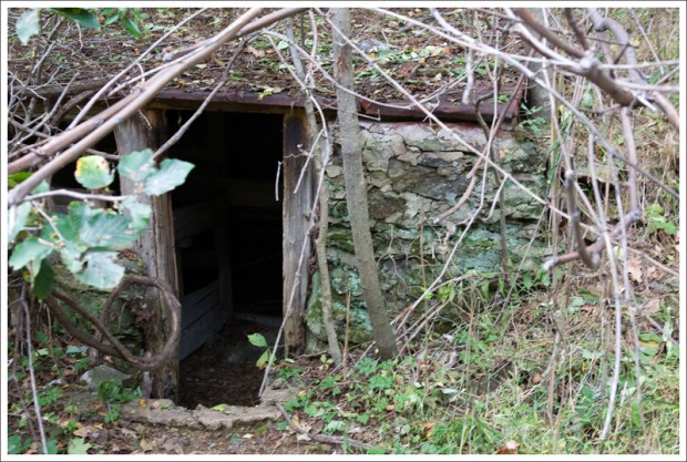 Snead Farm – Virginia Trail Guide