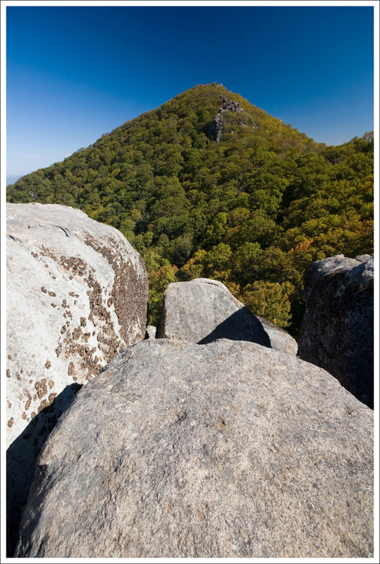 Sharp Top – Virginia Trail Guide