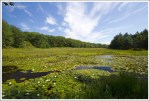 Carriage Road Bike Ride – Witch Hole/Eagle Lake/Jordan Pond – Acadia ...