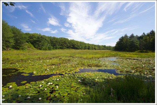 Carriage Road Bike Ride – Witch Hole/Eagle Lake/Jordan Pond – Acadia ...