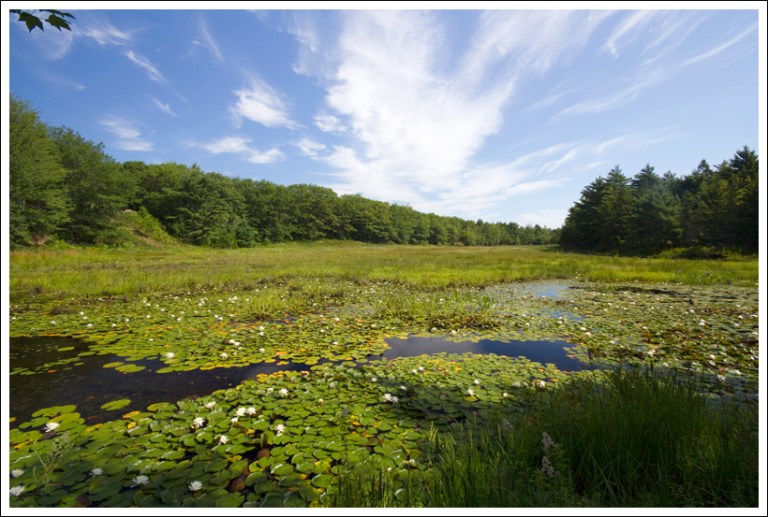 Carriage Road Bike Ride – Witch Hole/Eagle Lake/Jordan Pond – Acadia ...