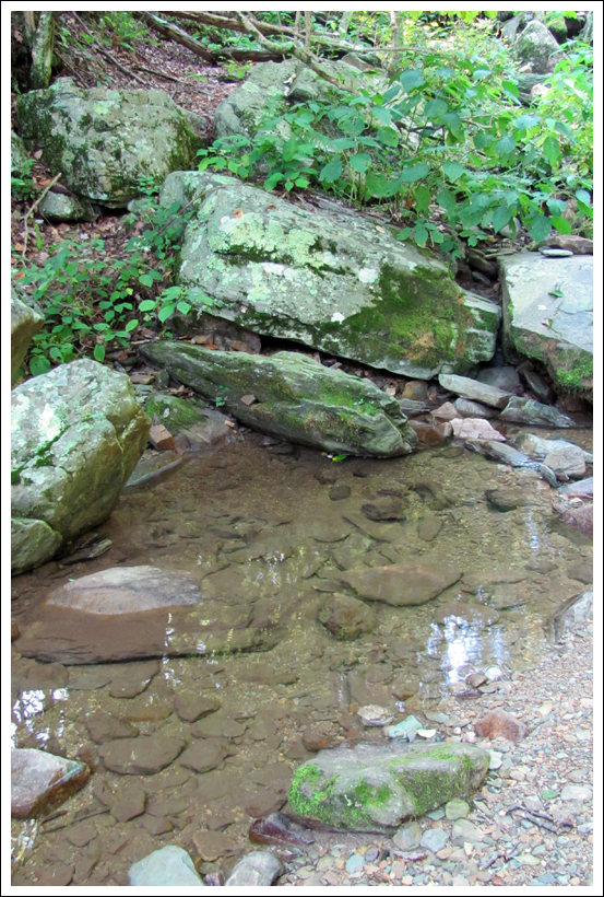 Appalachian Trail – Powell Gap to Loft Mountain – Virginia Trail Guide