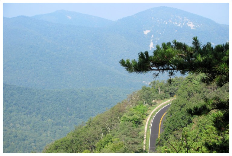 Appalachian Trail – Powell Gap to Loft Mountain – Virginia Trail Guide