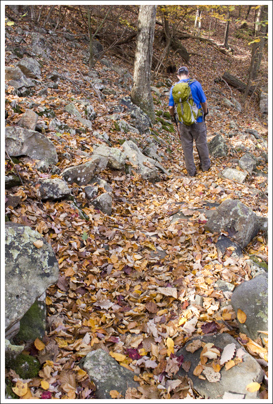 Hone Quarry Ridge – Virginia Trail Guide