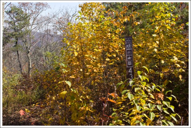 Hone Quarry Ridge – Virginia Trail Guide