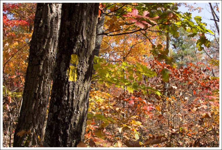 Hone Quarry Ridge – Virginia Trail Guide