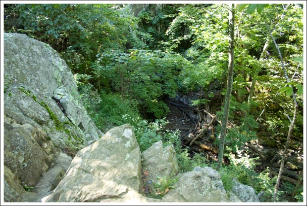 Overall Run – Virginia Trail Guide