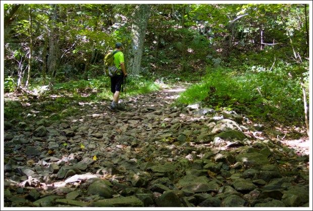 Overall Run – Virginia Trail Guide