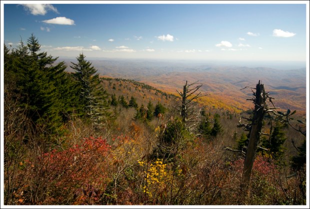 MacRae Peak – Grandfather Mountain (NC) – Virginia Trail Guide