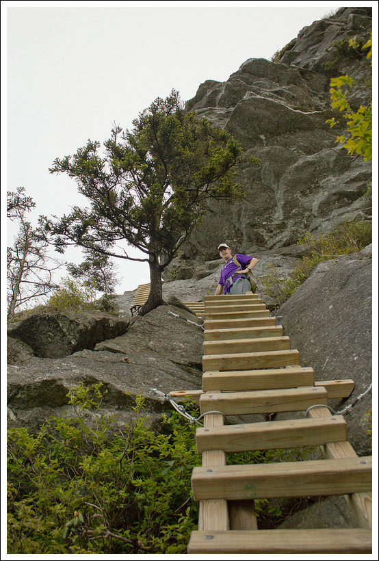 Grandfather Mountain – Calloway Peak (NC) – Virginia Trail Guide