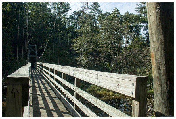 Appalachian Trail – Hog Camp Gap to Punchbowl Mountain – Virginia Trail ...