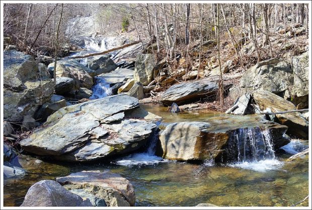 Moormans River & Big Branch Falls – Virginia Trail Guide