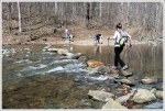 Moormans River & Big Branch Falls – Virginia Trail Guide