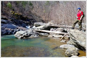 Moormans River & Big Branch Falls – Virginia Trail Guide