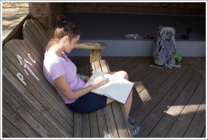 Appalachian Trail – Harpers Ferry to Bears Den Rocks – Virginia Trail Guide