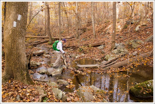 Appalachian Trail – Ashby Gap to Bears Den Rocks (The Roller Coaster ...