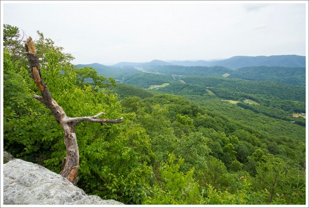 Dragons Tooth – Virginia Trail Guide