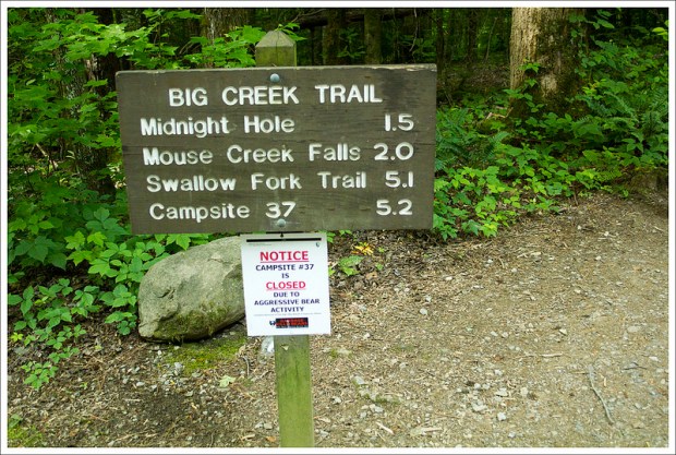 Mouse Creek Falls & Midnight Hole (NC) – Virginia Trail Guide