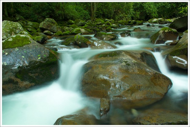 Mouse Creek Falls & Midnight Hole (NC) – Virginia Trail Guide