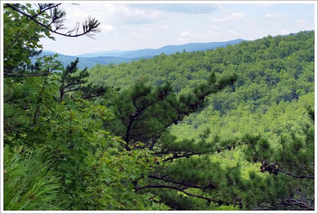 Hidden Rocks – Virginia Trail Guide