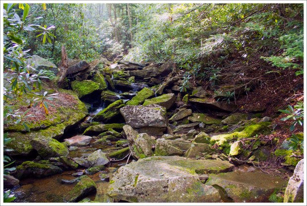 Dolly Sods – Rohrbaugh Plains to Red Creek (WV) – Virginia Trail Guide