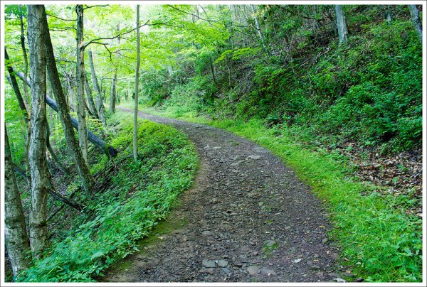 Great Channels – Virginia Trail Guide