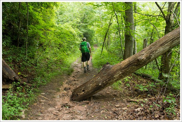 Great Channels – Virginia Trail Guide