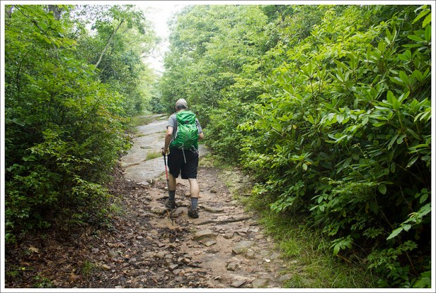 Great Channels – Virginia Trail Guide