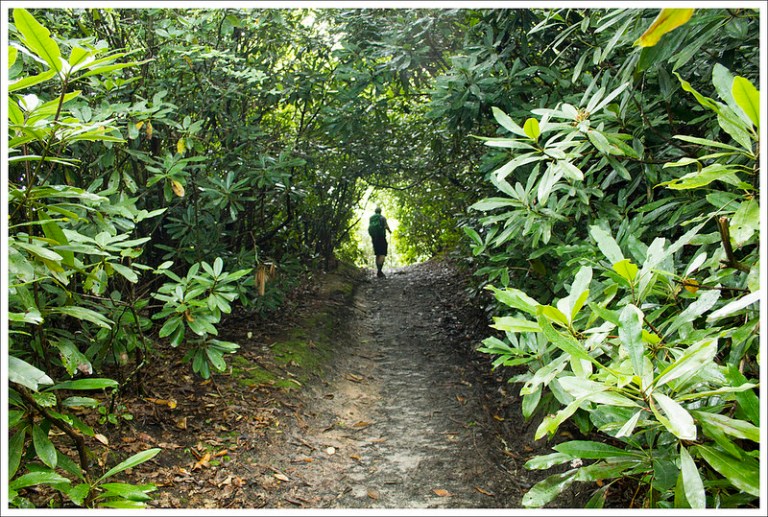 Great Channels – Virginia Trail Guide