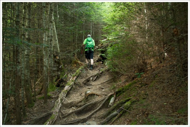 Mt. Cube (NH) – Virginia Trail Guide
