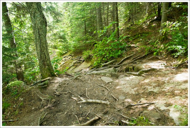 Mt. Cube (NH) – Virginia Trail Guide