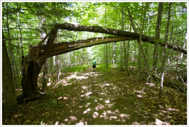 Mt. Cube (NH) – Virginia Trail Guide