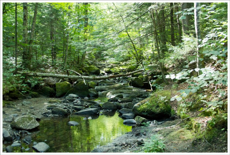 Mt. Cube (NH) – Virginia Trail Guide