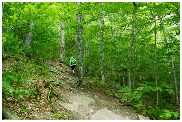 Mt. Cube (NH) – Virginia Trail Guide