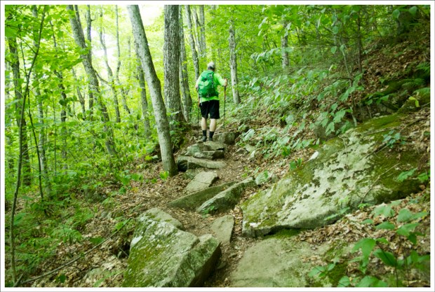 Mt. Cube (NH) – Virginia Trail Guide