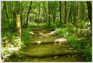 Hanging Rock – Virginia Trail Guide