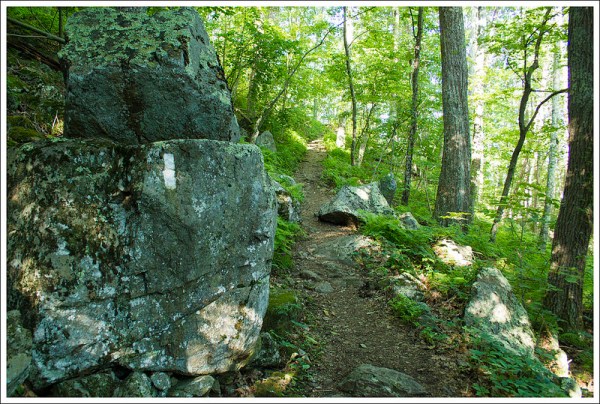 Hanging Rock – Virginia Trail Guide