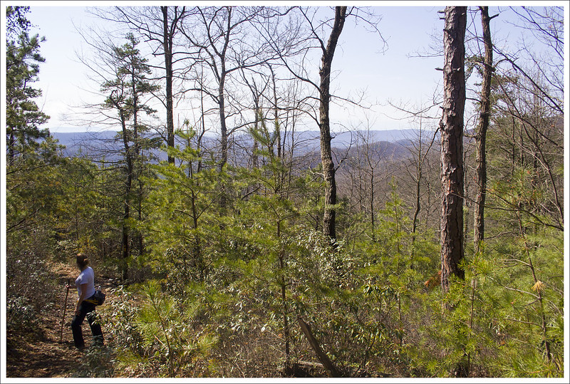 Church Rock – Virginia Trail Guide