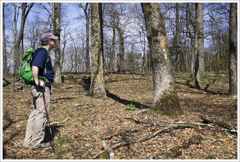 Church Rock – Virginia Trail Guide