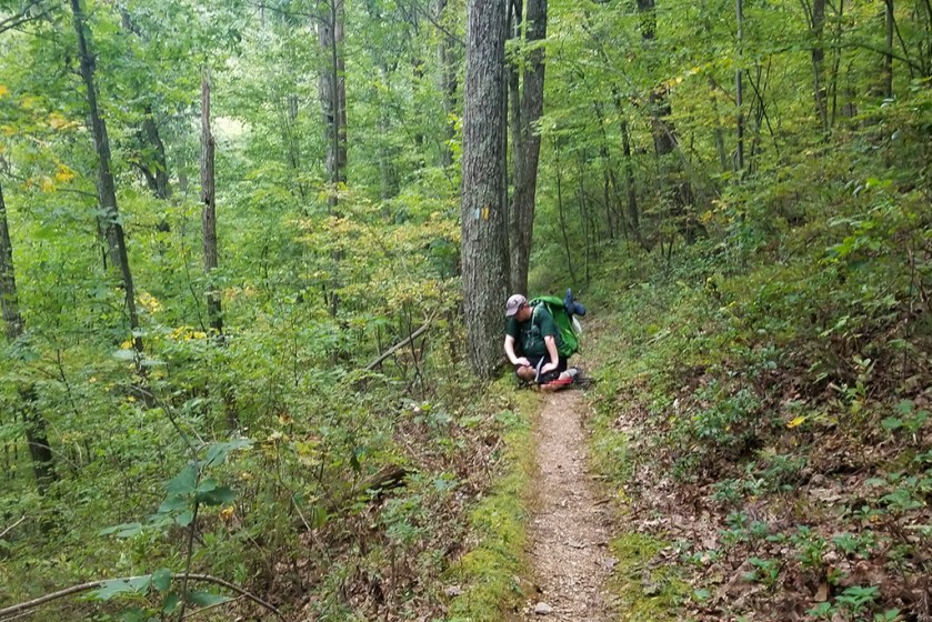 Rockytop – Big Run Loop – Virginia Trail Guide