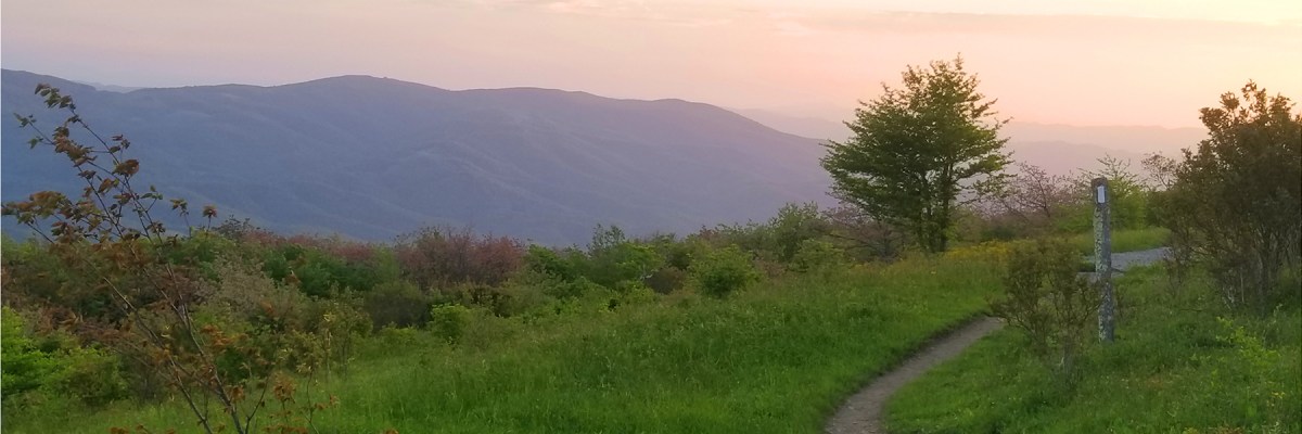 Virginia Trail Guide