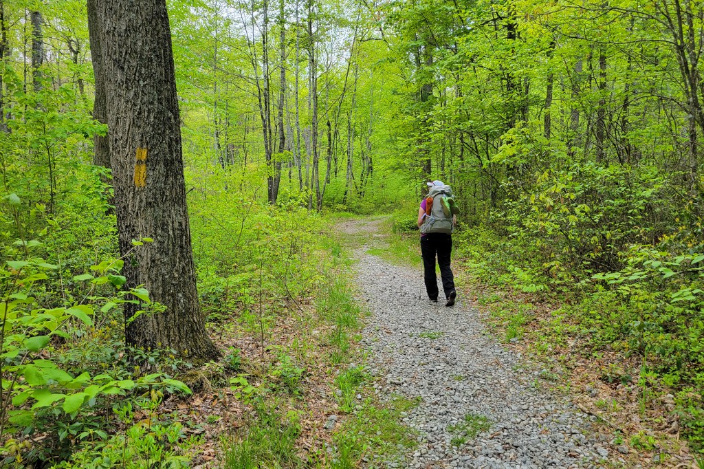 Duncan Knob Backpacking Loop – Virginia Trail Guide