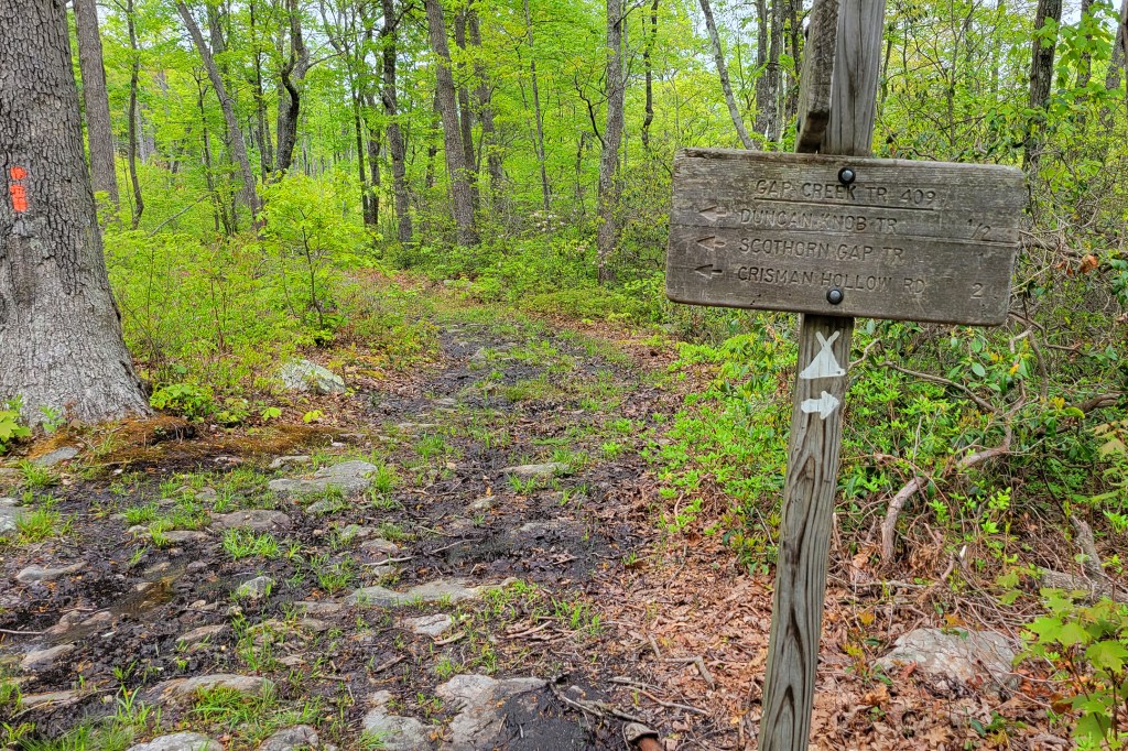 Duncan Knob Backpacking Loop – Virginia Trail Guide
