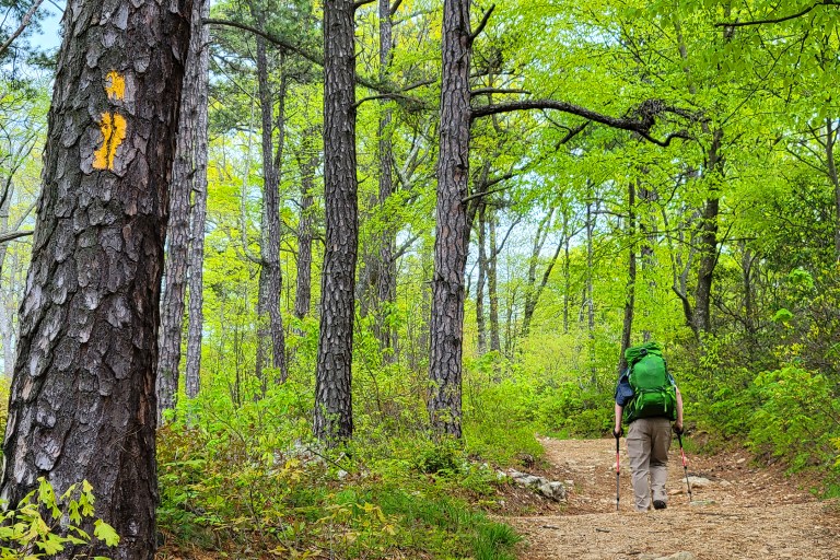 Duncan Knob Backpacking Loop – Virginia Trail Guide